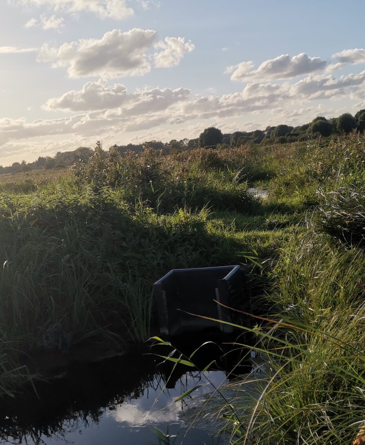 Vanne d'étang type batardeau et à guillotine - GIVAH